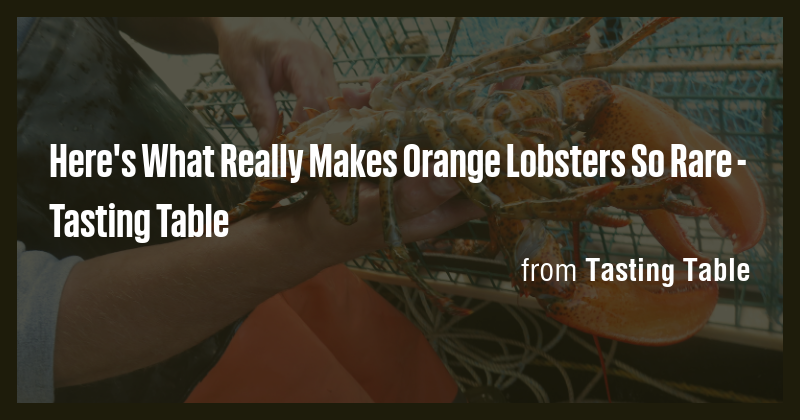 Here's What Really Makes Orange Lobsters So Rare - Tasting Table - Briefly