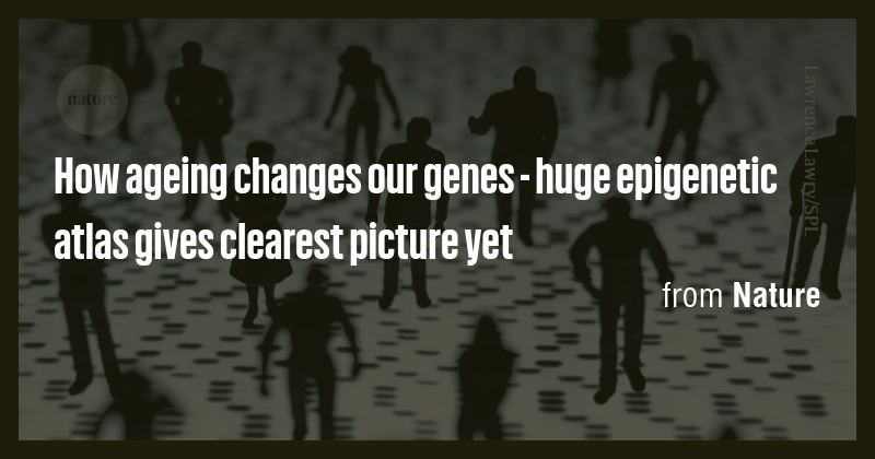 How ageing changes our genes - huge epigenetic atlas gives clearest ...