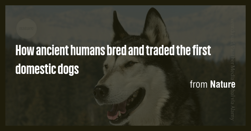 How ancient humans bred and traded the first domestic dogs - Briefly