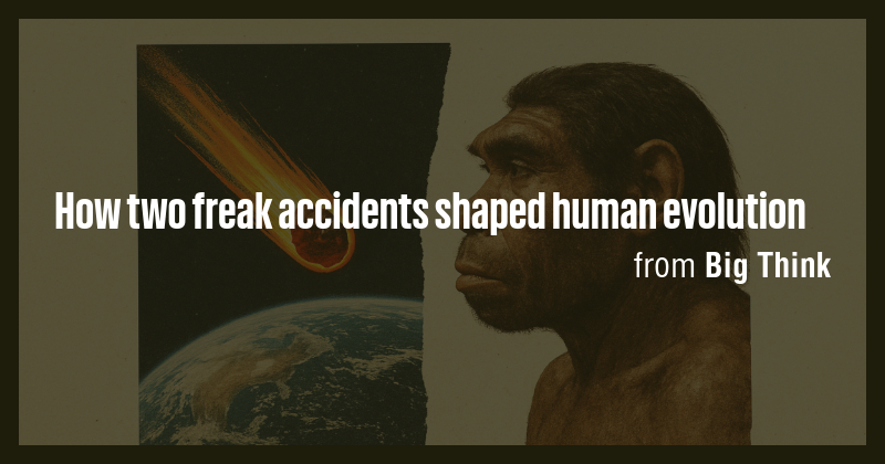 How Two Freak Accidents Shaped Human Evolution Briefly