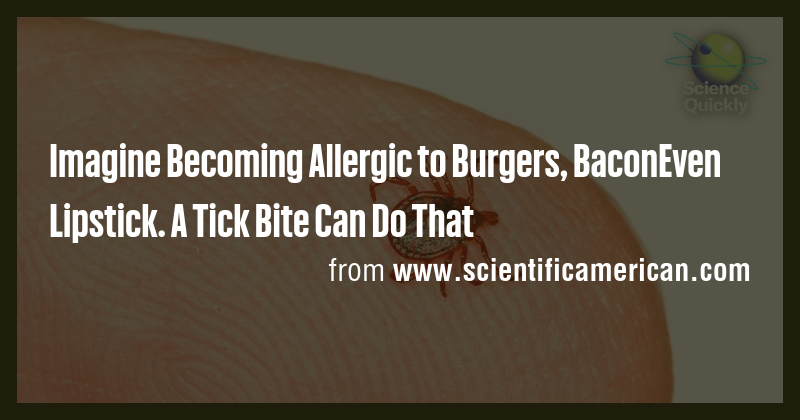 Imagine Becoming Allergic to Burgers, BaconEven Lipstick. A Tick Bite ...