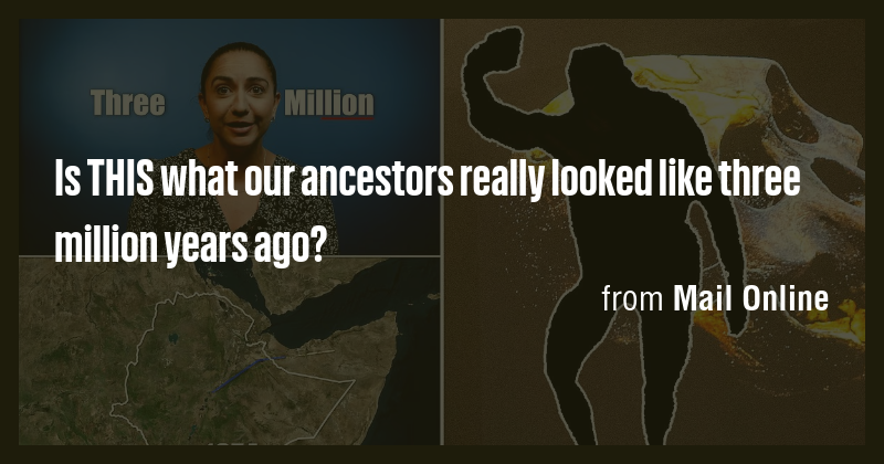Is THIS what our ancestors really looked like three million years ago? - Briefly