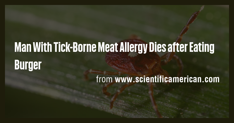 Man With Tick-Borne Meat Allergy Dies after Eating Burger - Briefly