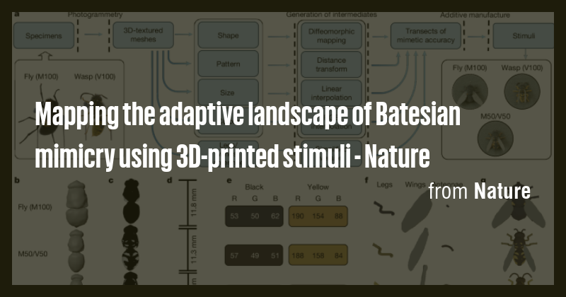 Mapping the adaptive landscape of Batesian mimicry using 3D-printed ...