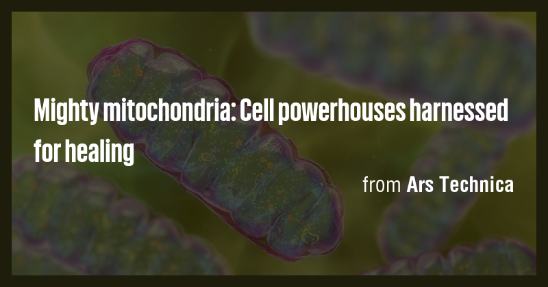 Mighty mitochondria: Cell powerhouses harnessed for healing - Briefly
