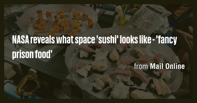 NASA reveals what space 'sushi' looks like - 'fancy prison food' - Briefly
