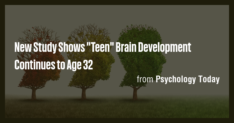 New Study Shows "Teen" Brain Development Continues to Age 32 - Briefly