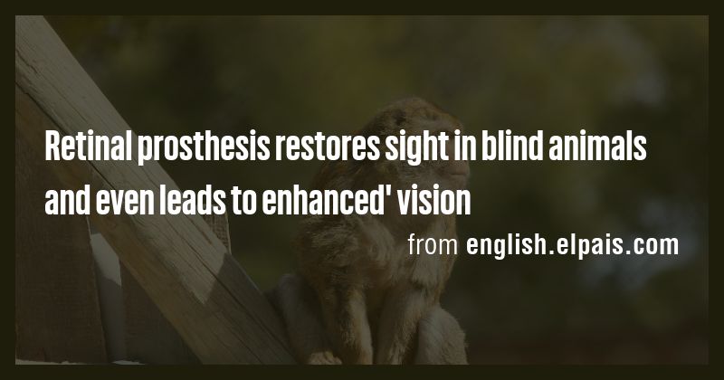 Retinal prosthesis restores sight in blind animals and even leads to ...