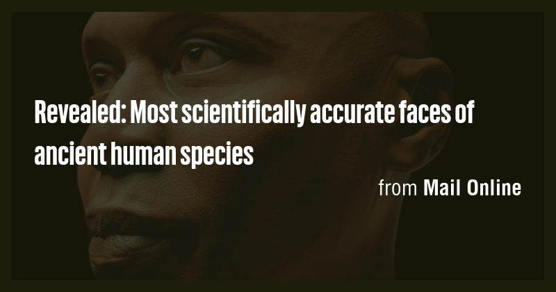 Revealed: Most scientifically accurate faces of ancient human species ...