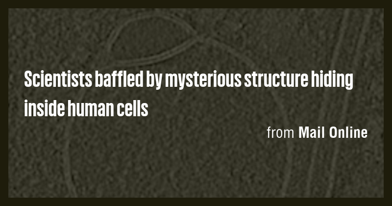 Scientists baffled by mysterious structure hiding inside human cells ...