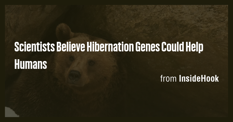 Scientists Believe Hibernation Genes Could Help Humans - Briefly