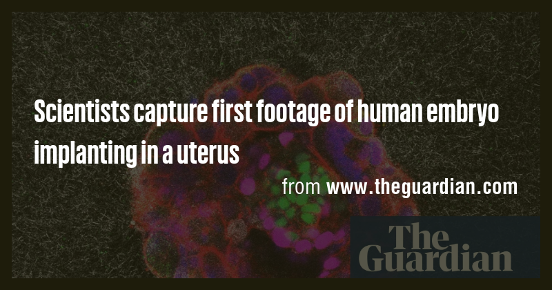 Scientists capture first footage of human embryo implanting in a uterus ...