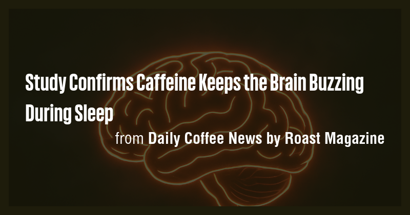 Study Confirms Caffeine Keeps the Brain Buzzing During Sleep - Briefly