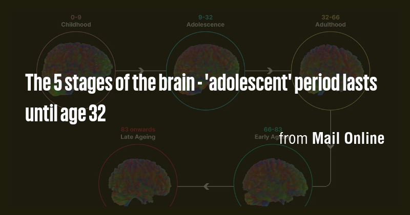 The 5 stages of the brain - 'adolescent' period lasts until age 32 ...