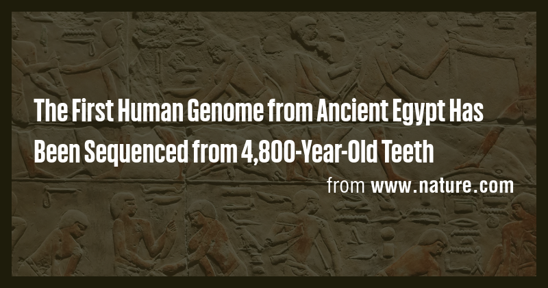 The First Human Genome from Ancient Egypt Has Been Sequenced from 4,800 ...