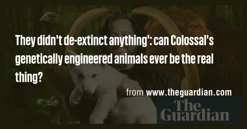 They didn't de-extinct anything': can Colossal's genetically engineered ...