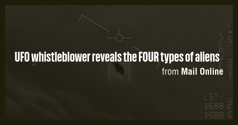 UFO whistleblower reveals the FOUR types of aliens - Briefly