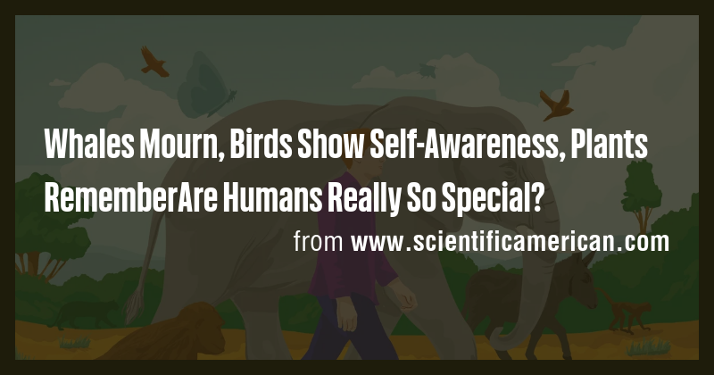Whales Mourn, Birds Show Self-Awareness, Plants RememberAre Humans ...