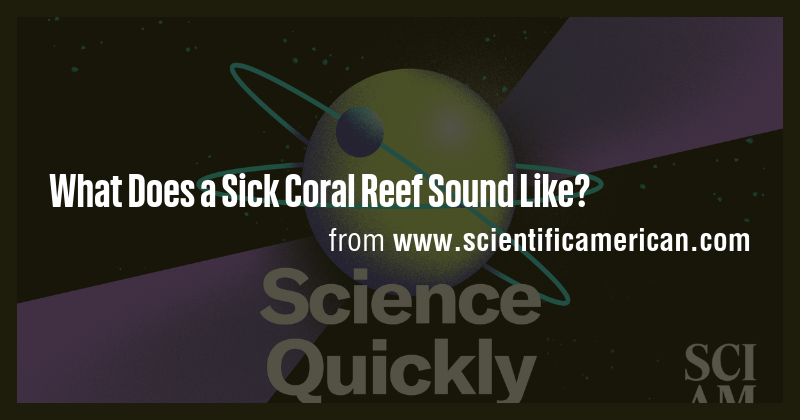 What Does a Sick Coral Reef Sound Like? - Briefly