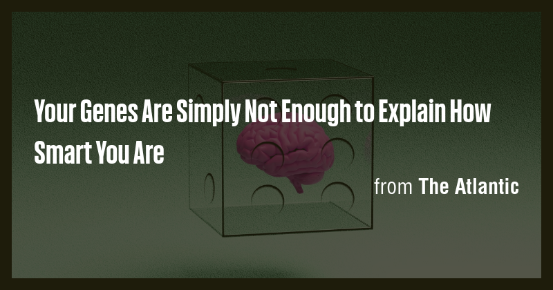 Your Genes Are Simply Not Enough to Explain How Smart You Are - Briefly