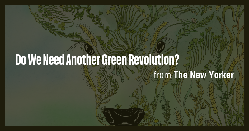Do We Need Another Green Revolution? - Briefly