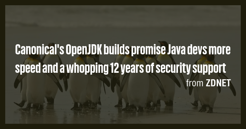 Canonical's OpenJDK builds promise Java devs more speed and a whopping ...
