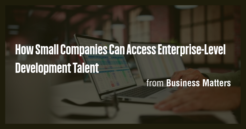 How Small Companies Can Access Enterprise-Level Development Talent ...