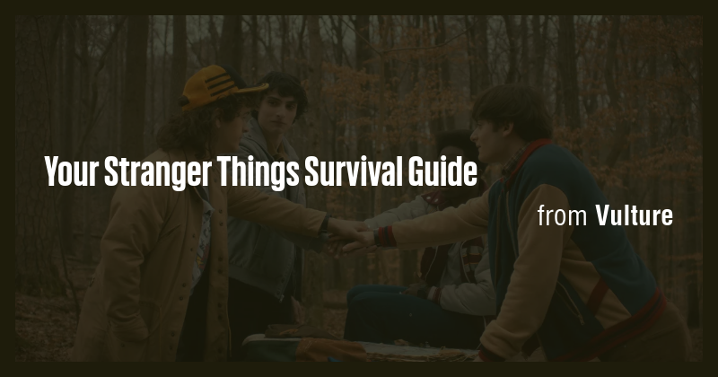 Your Stranger Things Survival Guide - Briefly