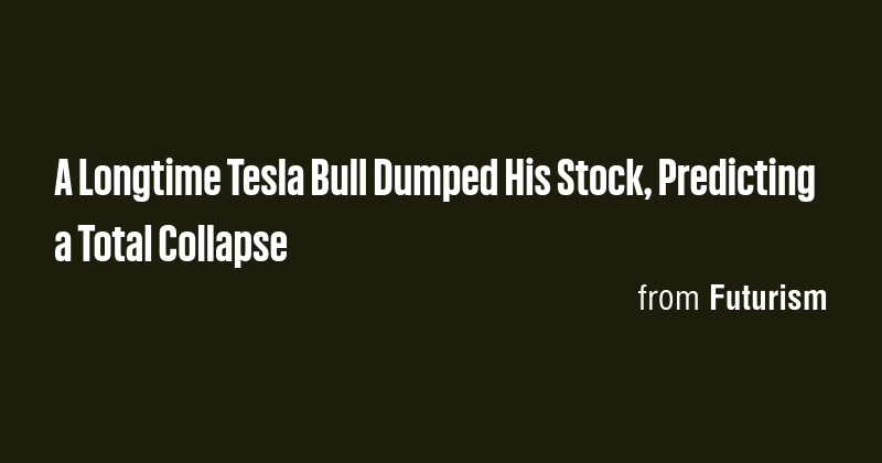 A Longtime Tesla Bull Dumped His Stock, Predicting a Total Collapse ...