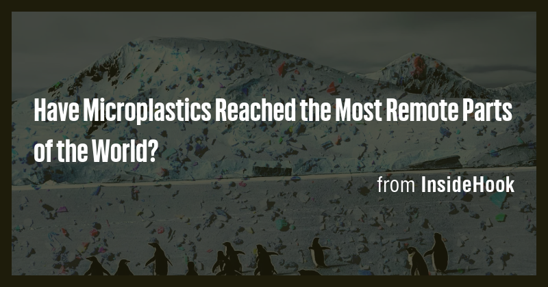 Have Microplastics Reached the Most Remote Parts of the World? - Briefly