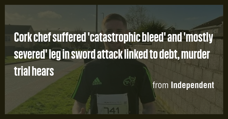 Cork chef suffered 'catastrophic bleed' and 'mostly severed' leg in ...