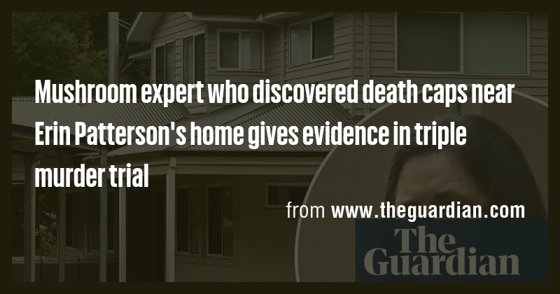 Mushroom expert who discovered death caps near Erin Patterson's home ...