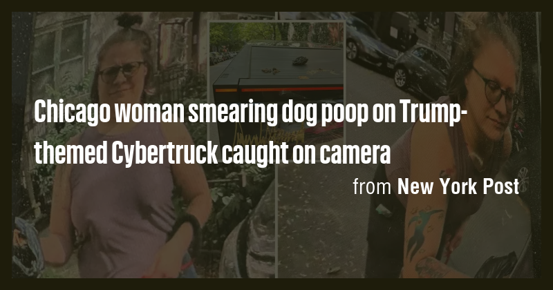 Chicago woman smearing dog poop on Trump-themed Cybertruck caught on ...
