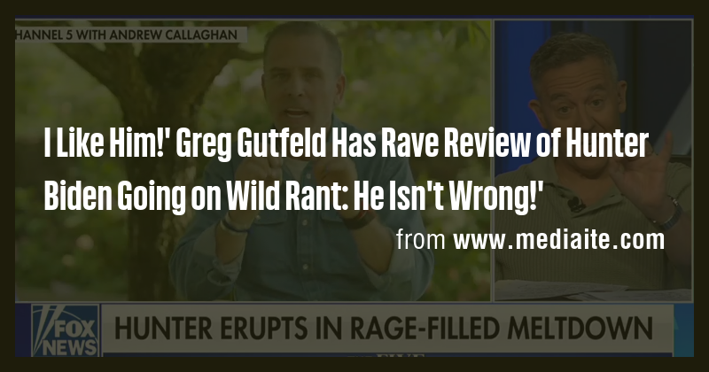 I Like Him!' Greg Gutfeld Has Rave Review of Hunter Biden Going on Wild ...