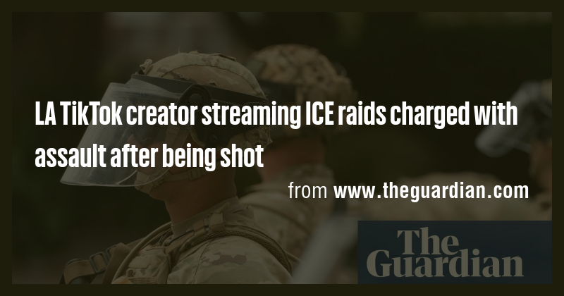 LA TikTok creator streaming ICE raids charged with assault after being ...
