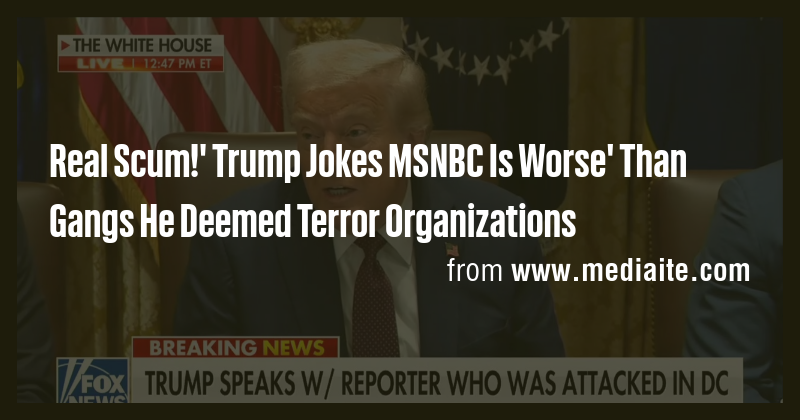 Real Scum!' Trump Jokes MSNBC Is Worse' Than Gangs He Deemed Terror ...