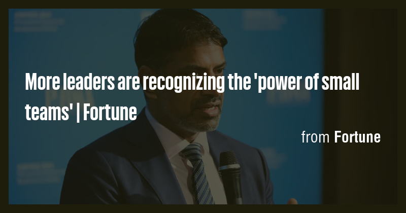More leaders are recognizing the 'power of small teams' | Fortune - Briefly