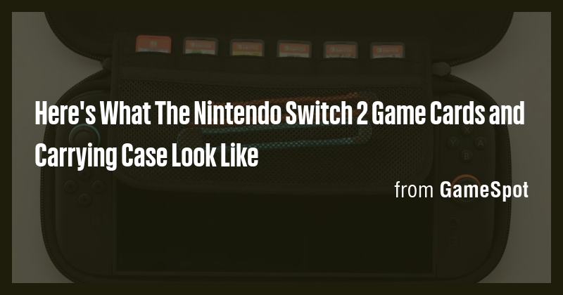 Here's What The Nintendo Switch 2 Game Cards and Carrying Case Look ...