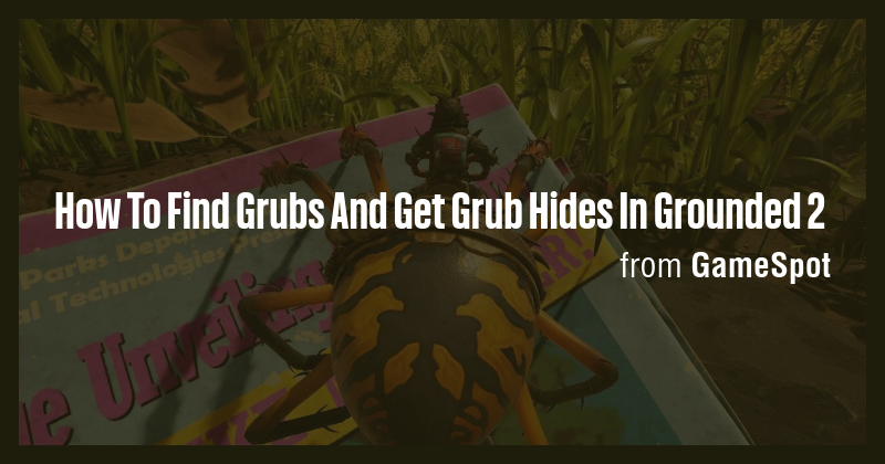How To Find Grubs And Get Grub Hides In Grounded 2 - Briefly