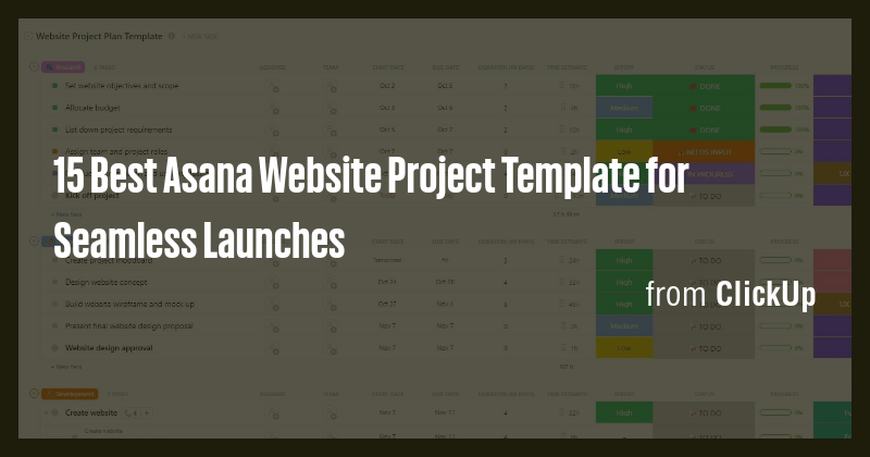 15 Best Asana Website Project Template for Seamless Launches - Briefly