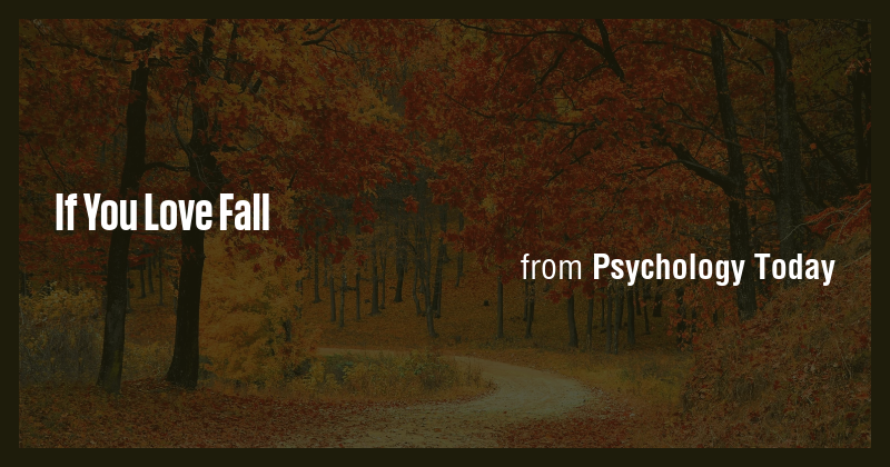 If You Love Fall - Briefly