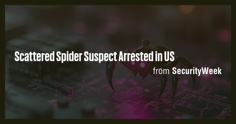 Scattered Spider Suspect Arrested in US - Briefly