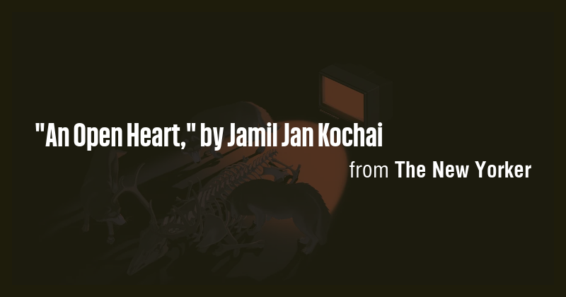 "An Open Heart," by Jamil Jan Kochai - Briefly