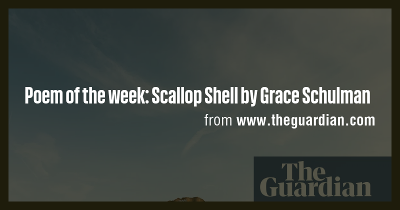 Poem of the week: Scallop Shell by Grace Schulman - Briefly