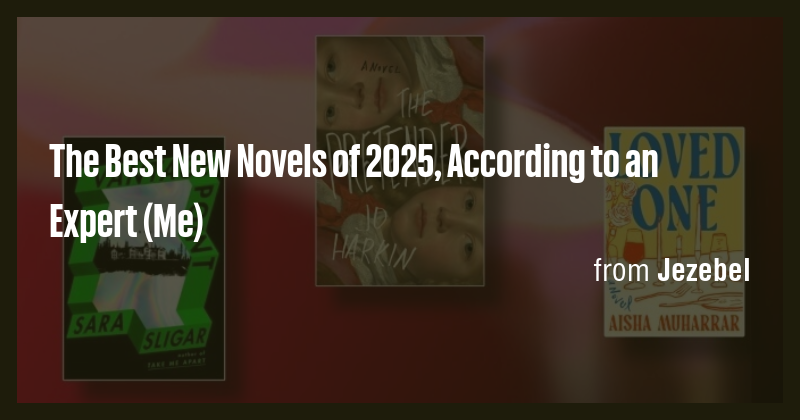 The Best New Novels of 2025, According to an Expert (Me) - Briefly