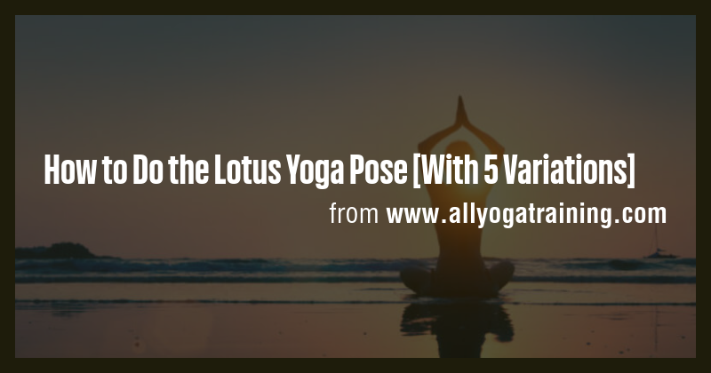 How to Do the Lotus Yoga Pose [With 5 Variations] - Briefly