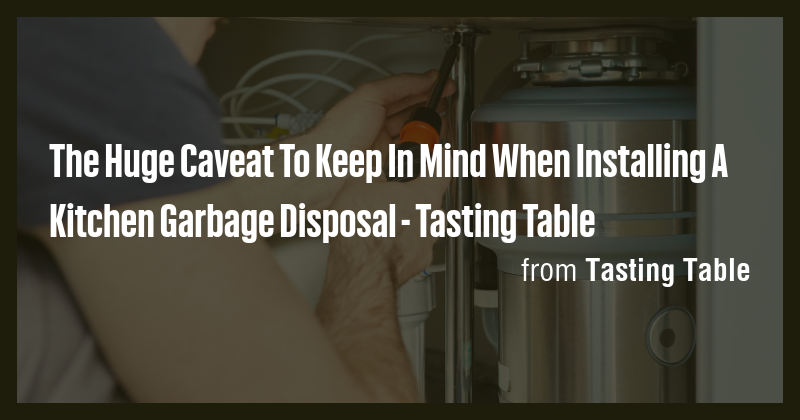 The Huge Caveat To Keep In Mind When Installing A Kitchen Garbage ...