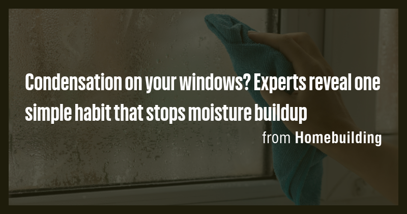 Condensation on your windows? Experts reveal one simple habit that ...