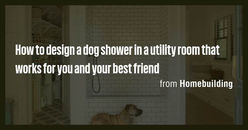 How to design a dog shower in a utility room that works for you and ...