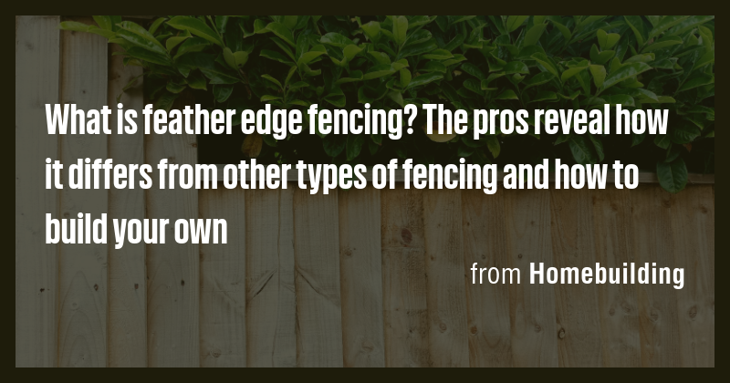What is feather edge fencing? The pros reveal how it differs from other ...